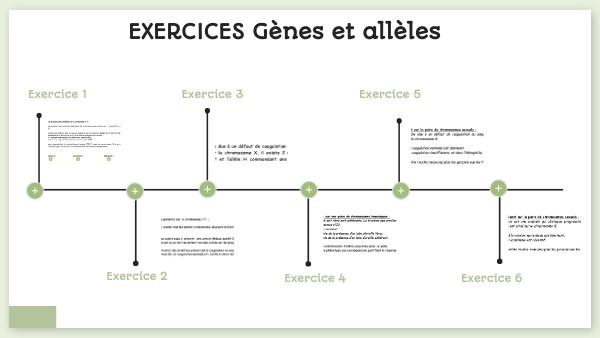 Exercices Gènes et allèles 3e