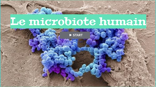 Microbiote humain 2nde | Genially