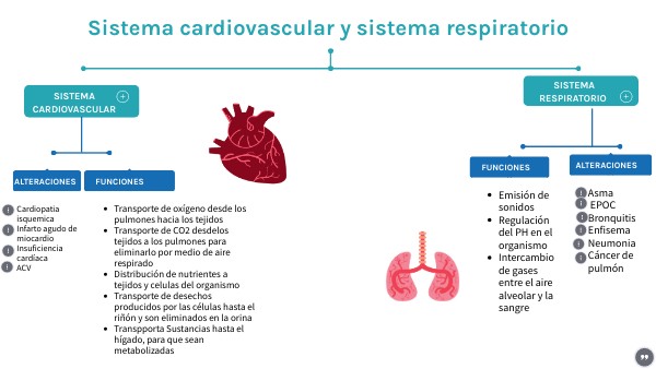 MAPA CONCEPTUAL FISIOLOGIA | Genially