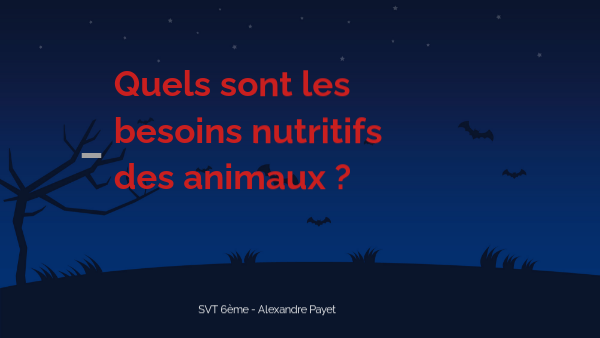 Besoins nutritifs des animaux | Genially