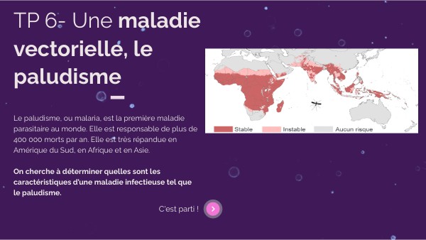 TP 6 le paludisme | Genially