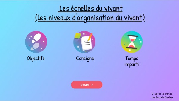 TP1 échelles du vivant revision