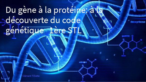 code génétique STL