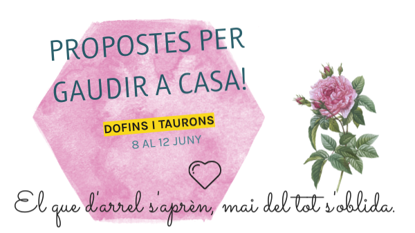 Juny 2a setmana | Genially