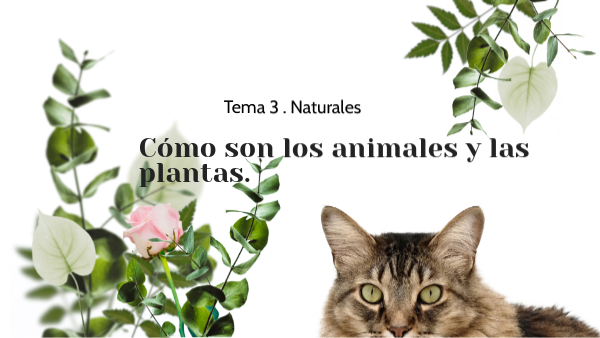 Tema 3 Naturales. Cómo son los animales y las plantas