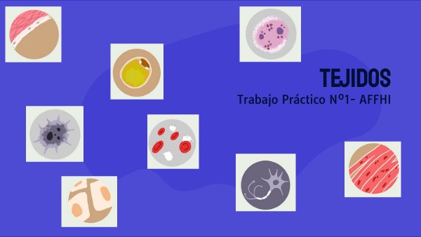 TP1-AFFHI | Genially