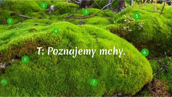 poznajemy mchy | Genially