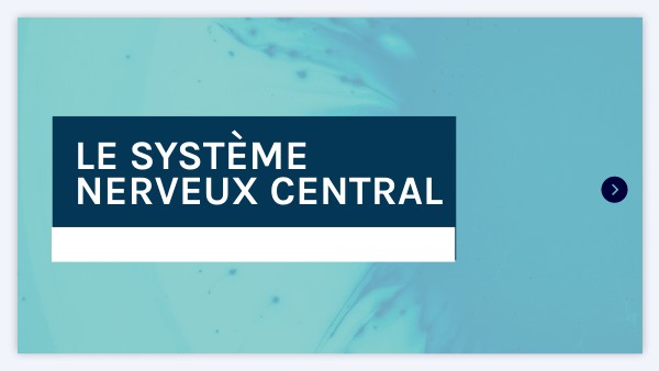Le système nerveux central | Genially