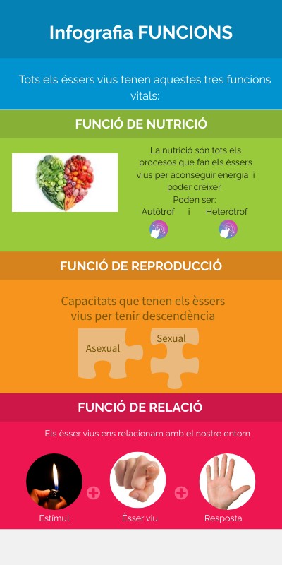 Funcions vitals | Genially