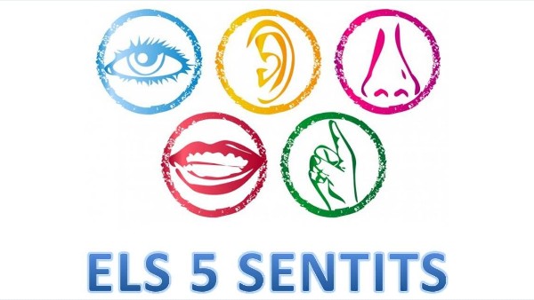 Els sentits | Genially