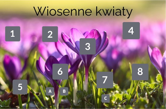 Wiosenne kwiaty | Genially