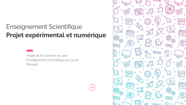 Projet en ES | Genially