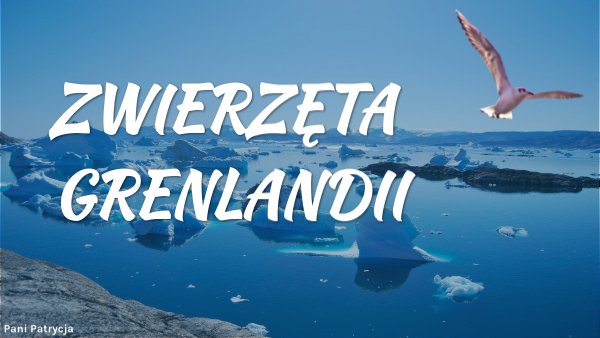Zwierzęta Grenlandii | Genially