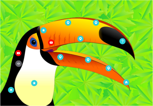 Animals, body parts | Genially