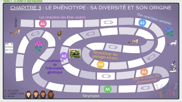 4e - Chapitre 3 : Le phénotype : sa diversité et son origine | Genially