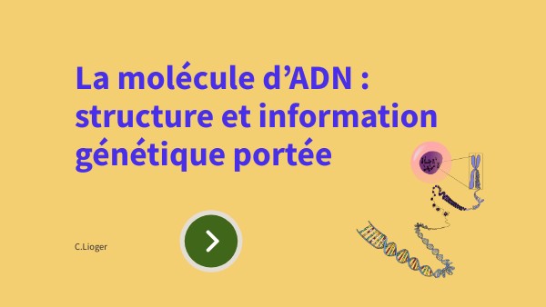 ADN-seconde-2021 | Genially