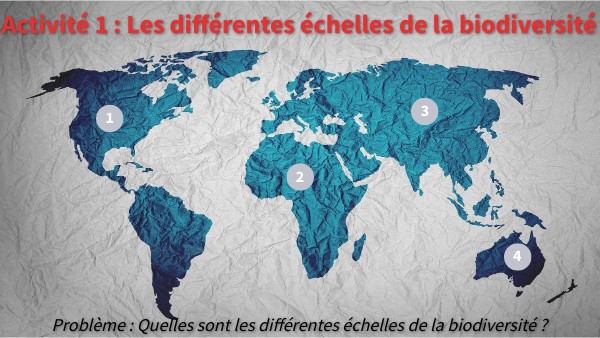 Les échelles de la biodiversité 2nde | Genially