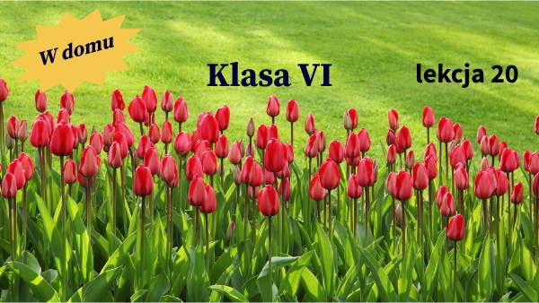Praca domowa/Klasa VI/lekcja 20