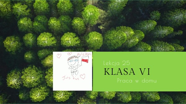 PD/klasa VI/lekcja 25