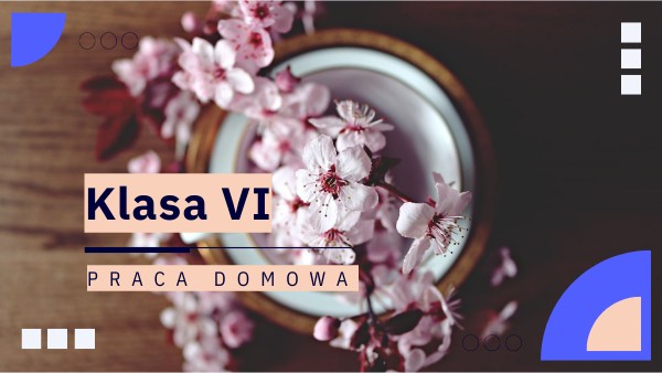 PD/klasa VI/lekcja 24