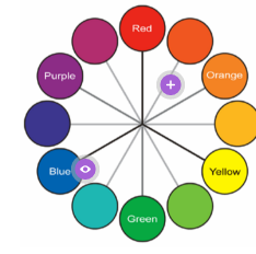 Shine on 1 revision unit 2 | Genially