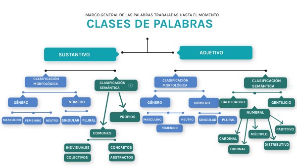 CLASES DE PALABRAS 1° | Genially