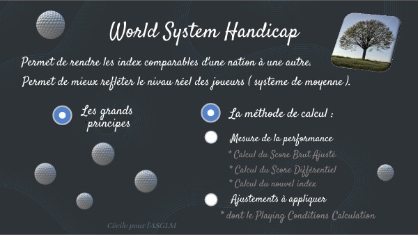 World Handicap System