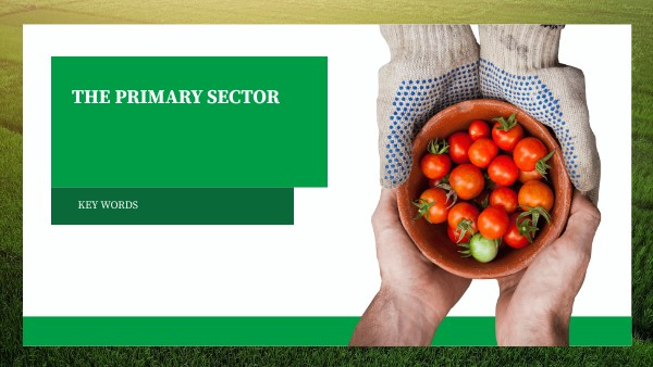 The Primary Sector