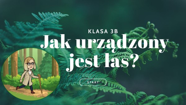 3B JAK URZĄDZONY JEST LAS | Genially