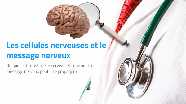 Les cellules nerveuses et le message nerveux | Genially