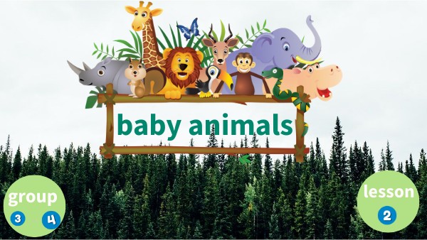 Group 3-4, L2 Baby Animals