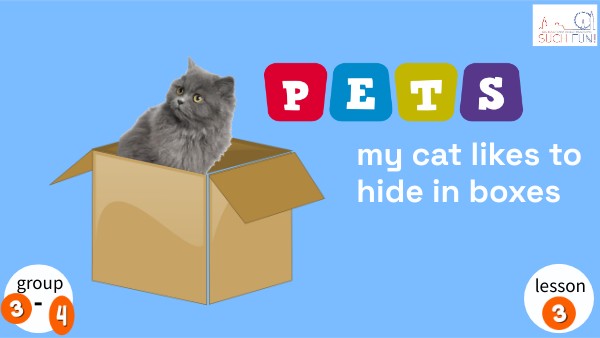 Gr 3-4 Pets lesson 3