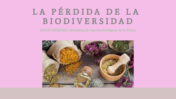 9NO SEMANA 22 | Genially