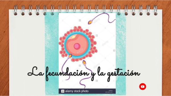 9NO SEMANA 10 | Genially