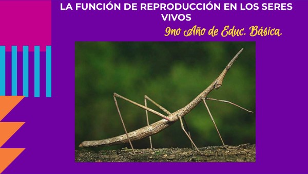 SEMANA 3 9NO | Genially