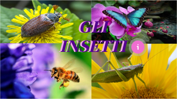 INSETTI copy | Genially