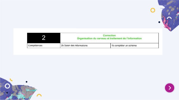 Correction Organisation du cerveau et traitement de l'information