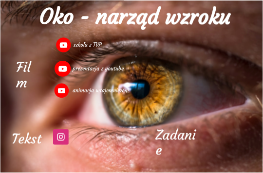 oko