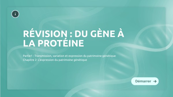 RÉVISION - Du gène à la protéine | Genially