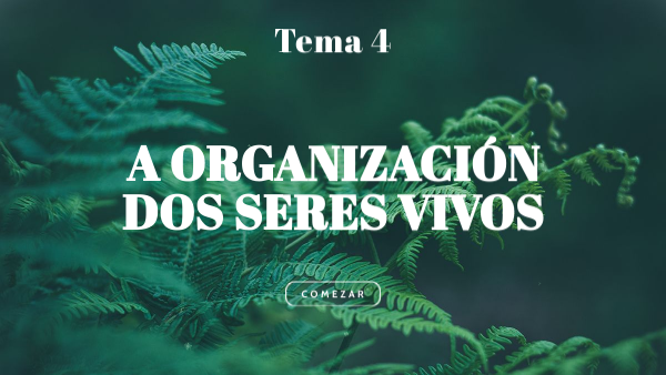 PRESENTACIÓN TEMA 4 CCNN | Genially