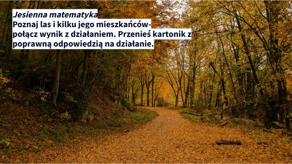 Jesienny las-powtórka