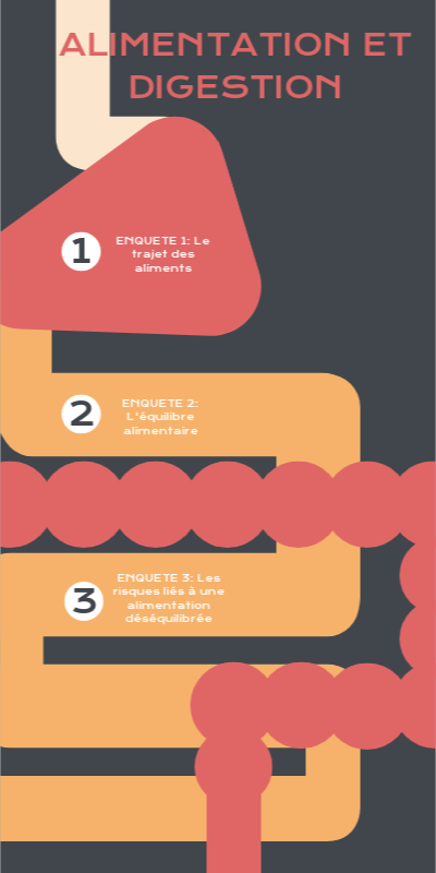 Alimentation et digestion 5e