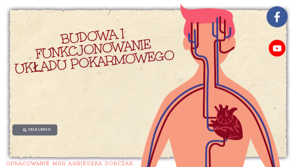 Układ pokarmowy- budowa i funkcje