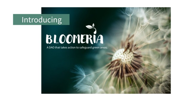 Bloomeria's pitch