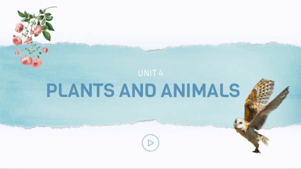 Lesson 4 UNIT 4 PLANTS AND ANIMALS | Genially