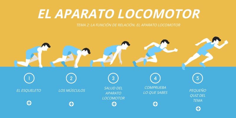 TEMA 2: APARATO LOCOMOTOR | Genially