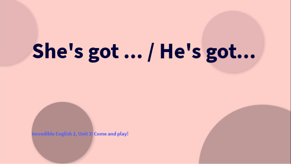 IE2 U3 He has got...She has got...