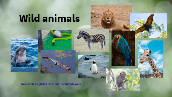 IE2 U4 Wild Animals | Genially