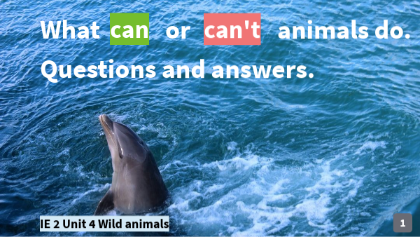 IE2 U4 Wild animals questions and answers.