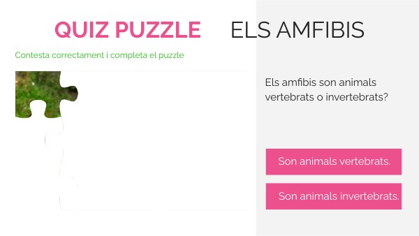 Els amfibis | Genially